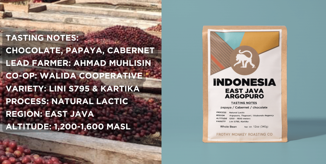 Indonesia East Java Argopuro Single Origin Coffee – Frothy Monkey