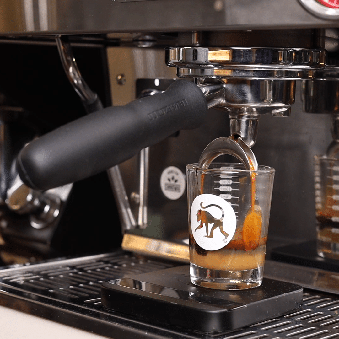 Drink Recipe: The Turtle Latte – Frothy Monkey
